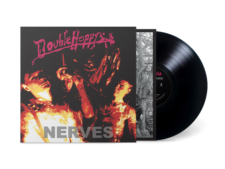DoubleHappys - Nerves (2022 Reissue) – Flying Nun Australia